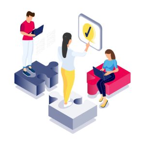 Use the data - LISS panel